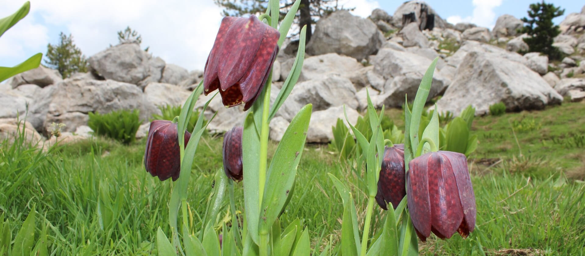 Hiking Mirdita - Erkunden Mirdita, erkunden Albanien, Kultur und Tradition